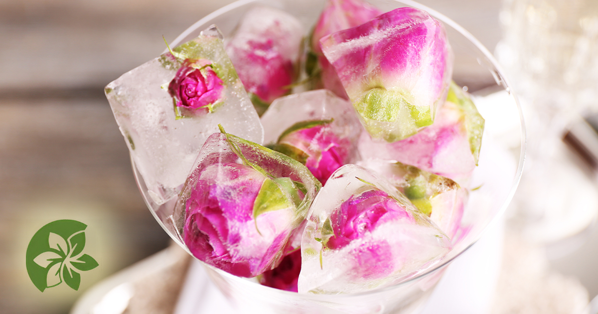 Flowers as food — the latest in haute cuisine! An overview