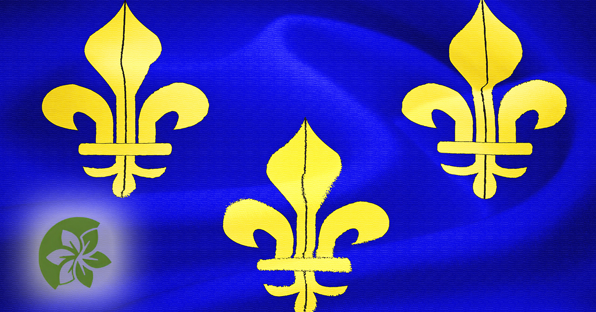 Flowers as national symbols: emblematic flora rooted in history