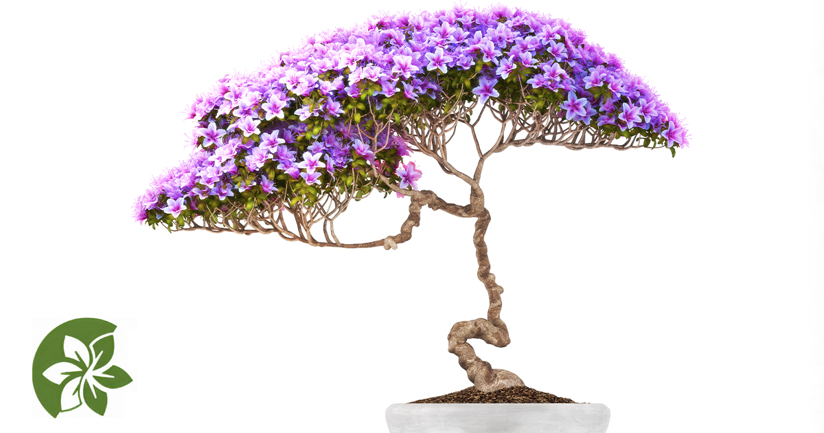 Flower Symbolism in Daily and Festive Culture of China