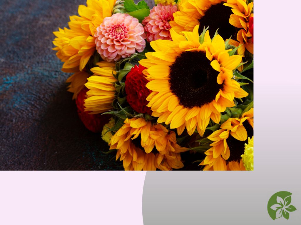 Flowers for Administrative Staff as a Perfect Appreciation